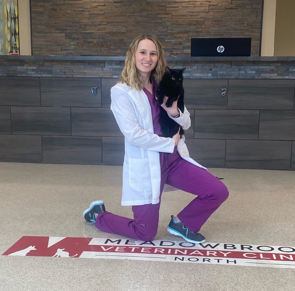 Our Team - Meadowbrook Veterinary Clinic of Peoria, P.C.