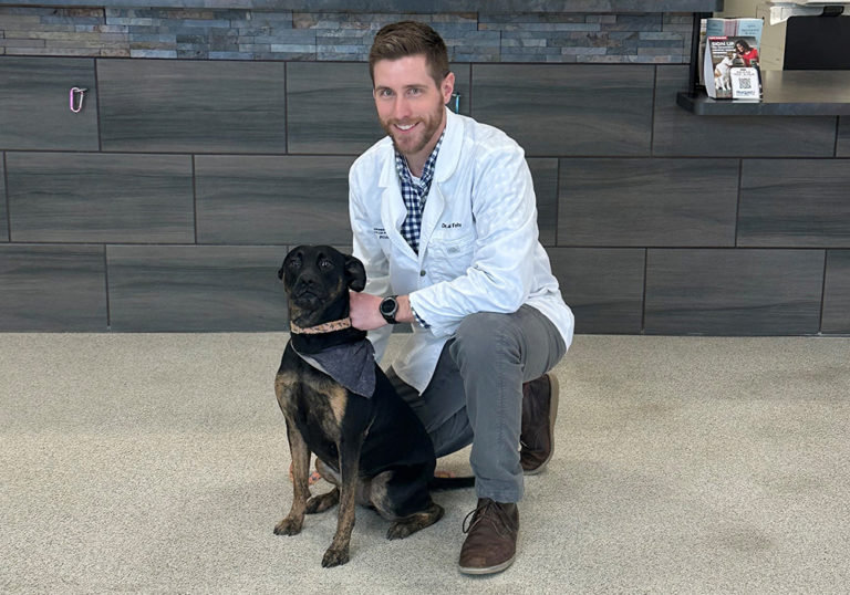 Our Team - Meadowbrook Veterinary Clinic of Peoria, P.C.